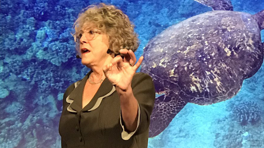 Let's Make the World We Want To Live In | Big Medium